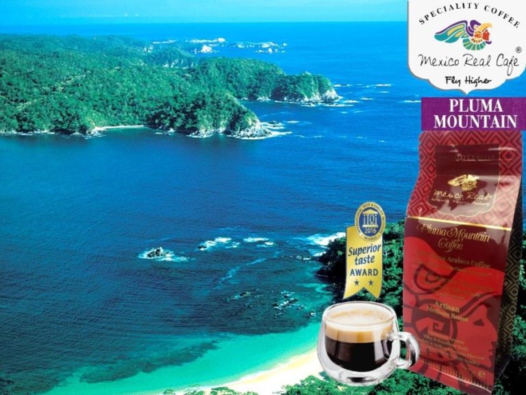 Pluma Oaxaca Coffee - Pluma Mountain Coffee - Mexico Real Cafe