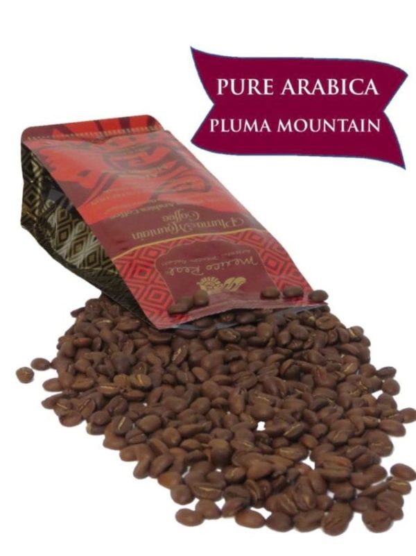 Pluma Oaxaca Coffee - Pluma Mountain Coffee - Mexico Real Cafe